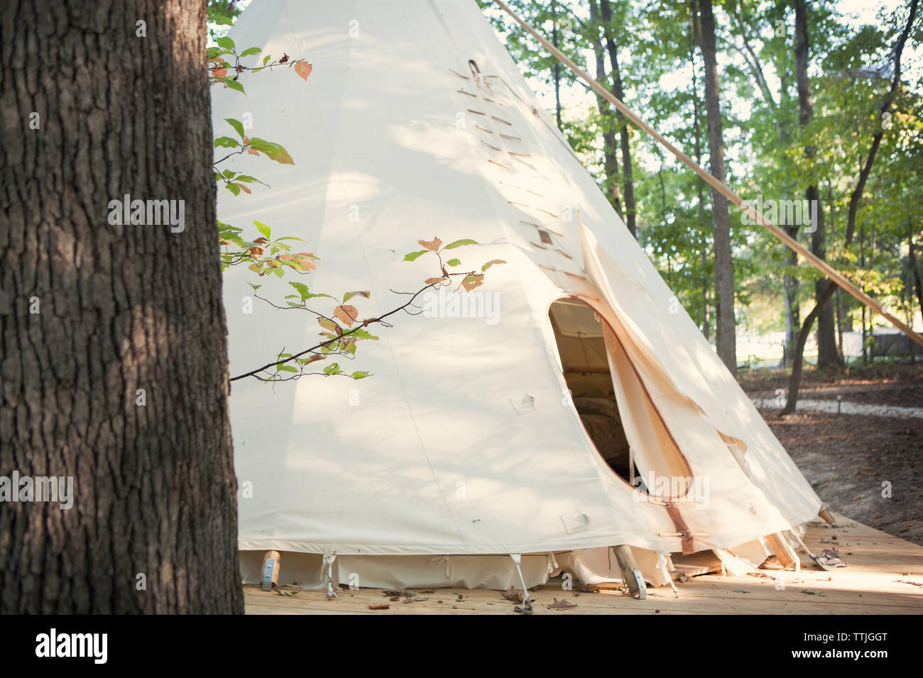 Teepee Glamping in Virginia Forest Stock Photo - Alamy