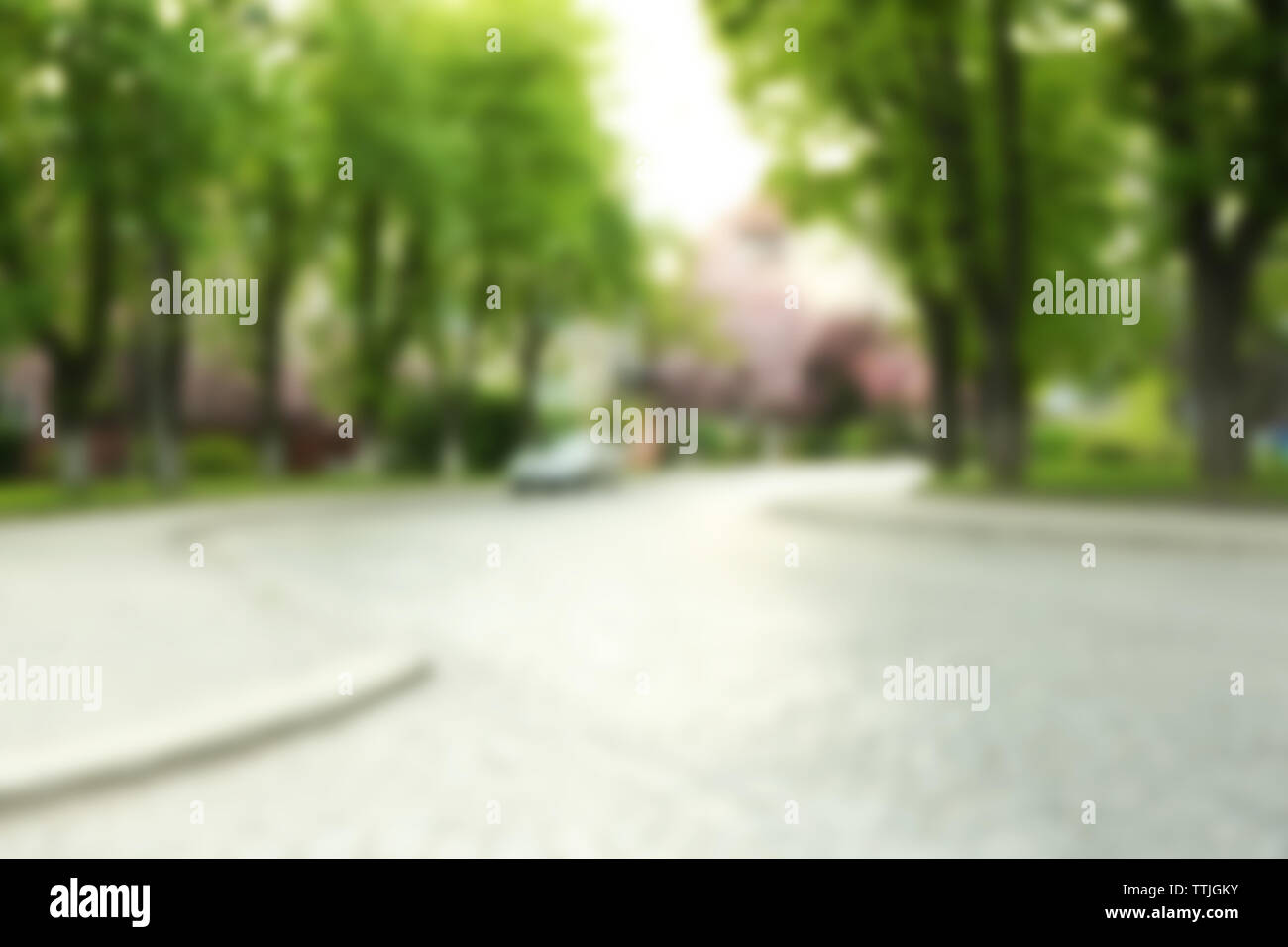 Blossoming pink sakura tree in the street Stock Photo - Alamy