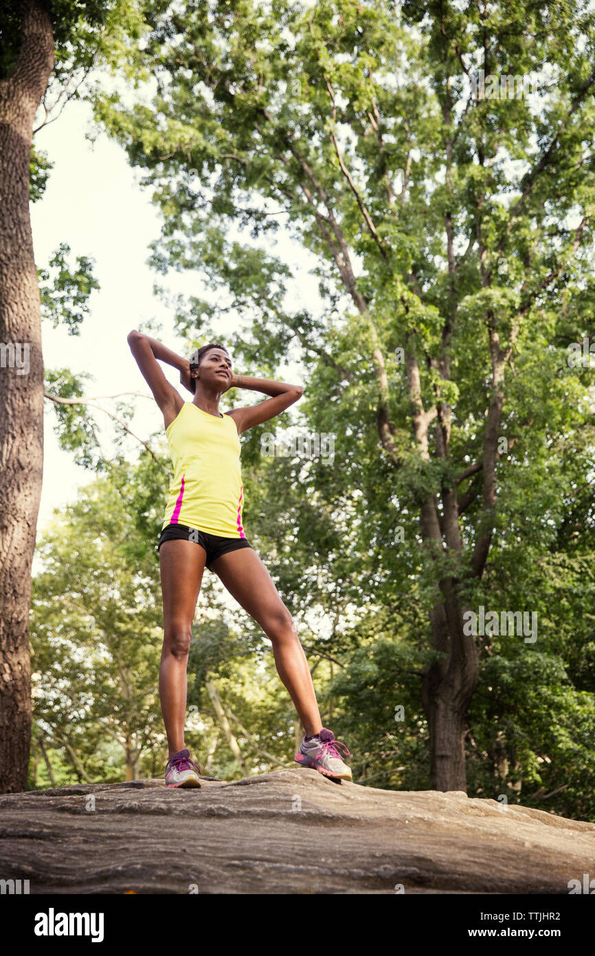 Woman exercising while standing on tree trunk Stock Photo - Alamy