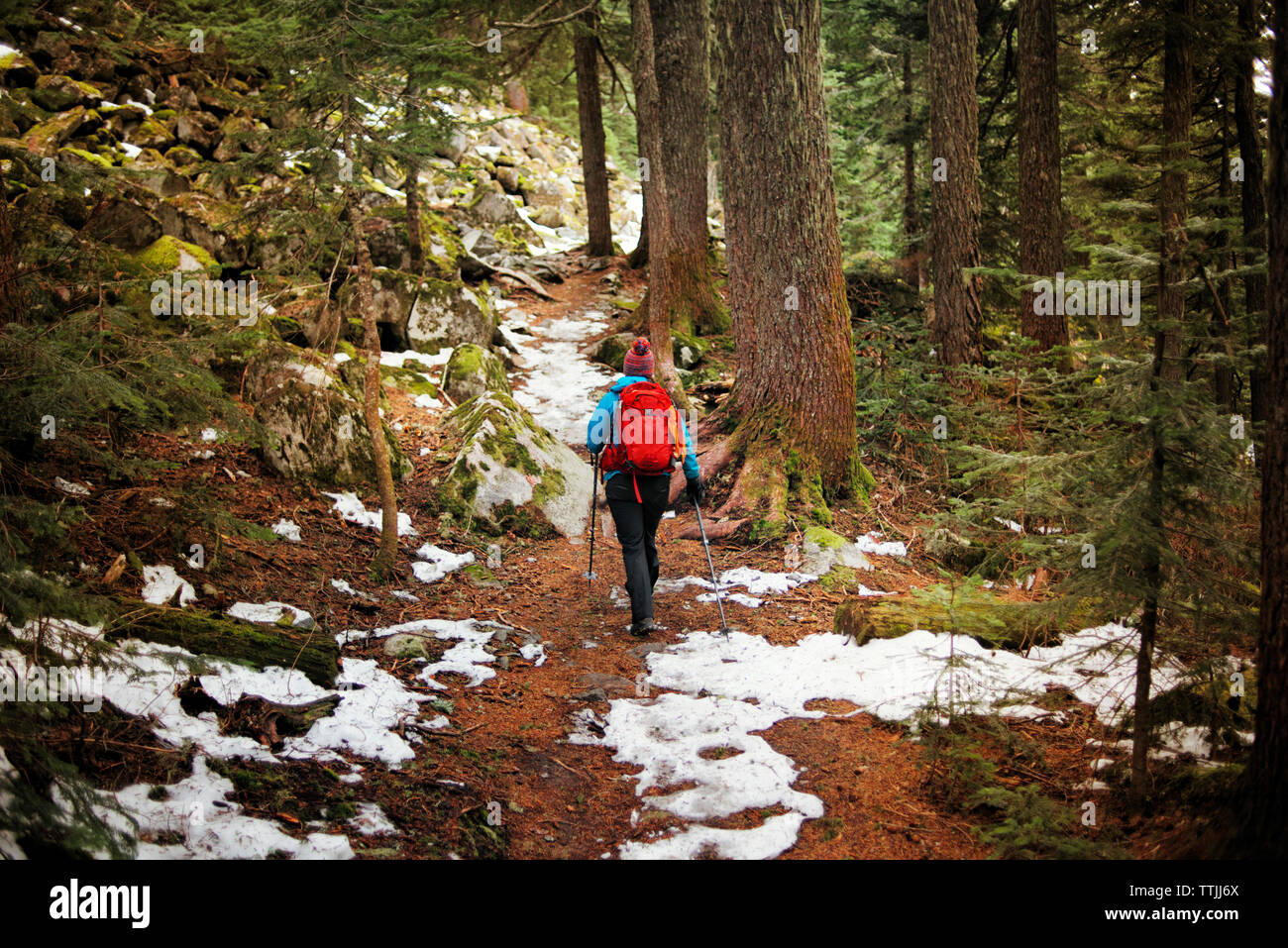 Adventure extreme forest hi-res stock photography and images - Alamy