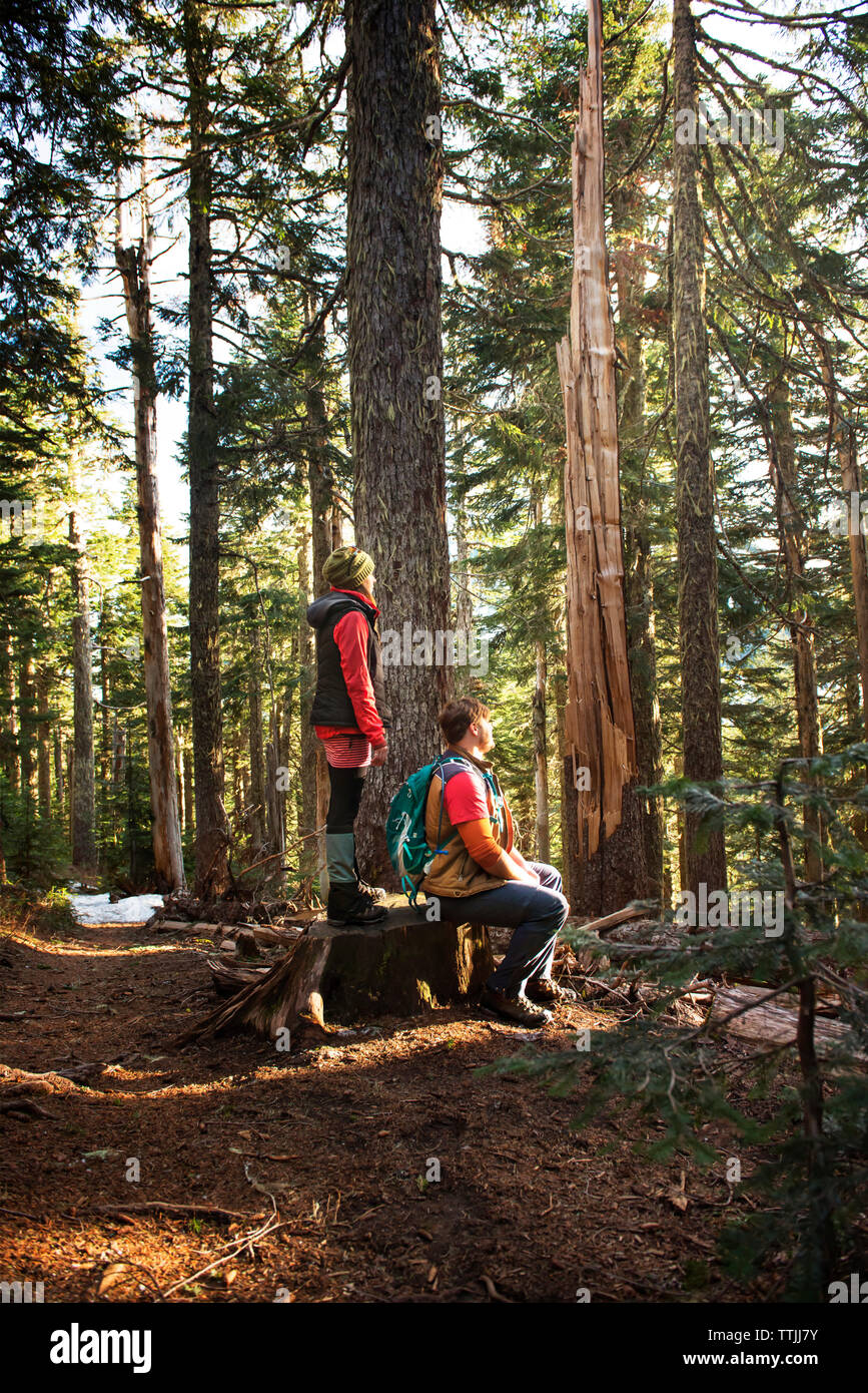 Side view of couple hiking in forest Stock Photo - Alamy