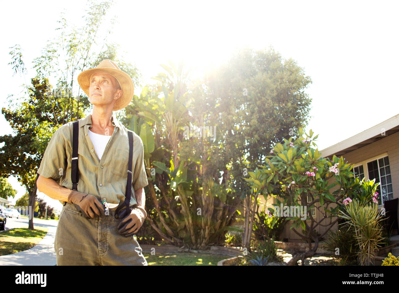 Gardener looking at sky hi-res stock photography and images - Alamy