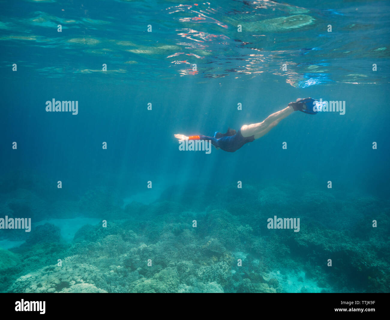 Woman diving underwater Stock Photo - Alamy