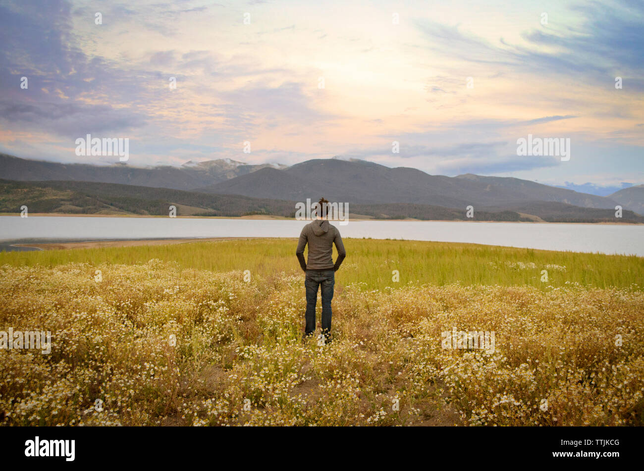 Rear view of man standing on field against sky Stock Photo - Alamy