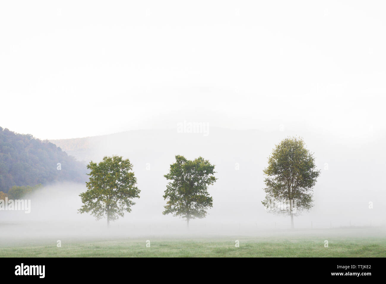 Foggy climate hi-res stock photography and images - Alamy