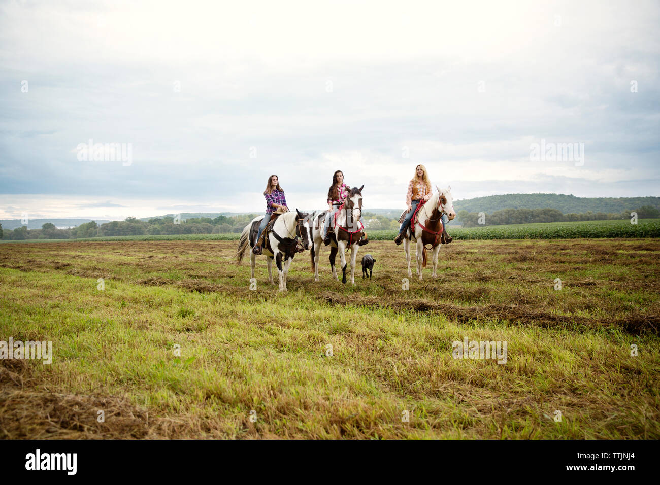 Working cowgirls hi-res stock photography and images - Alamy