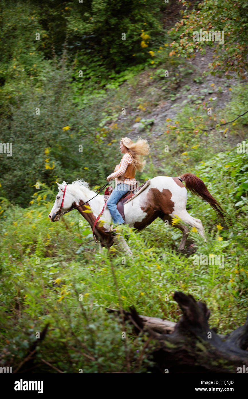 Riding horse running hi-res stock photography and images - Alamy