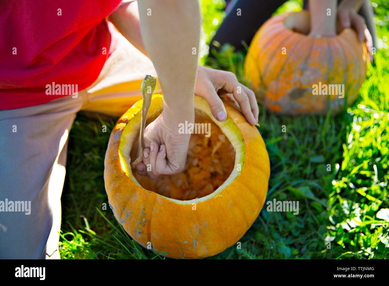 High angle view of brother and sister removing pumpkin pulp on field ...