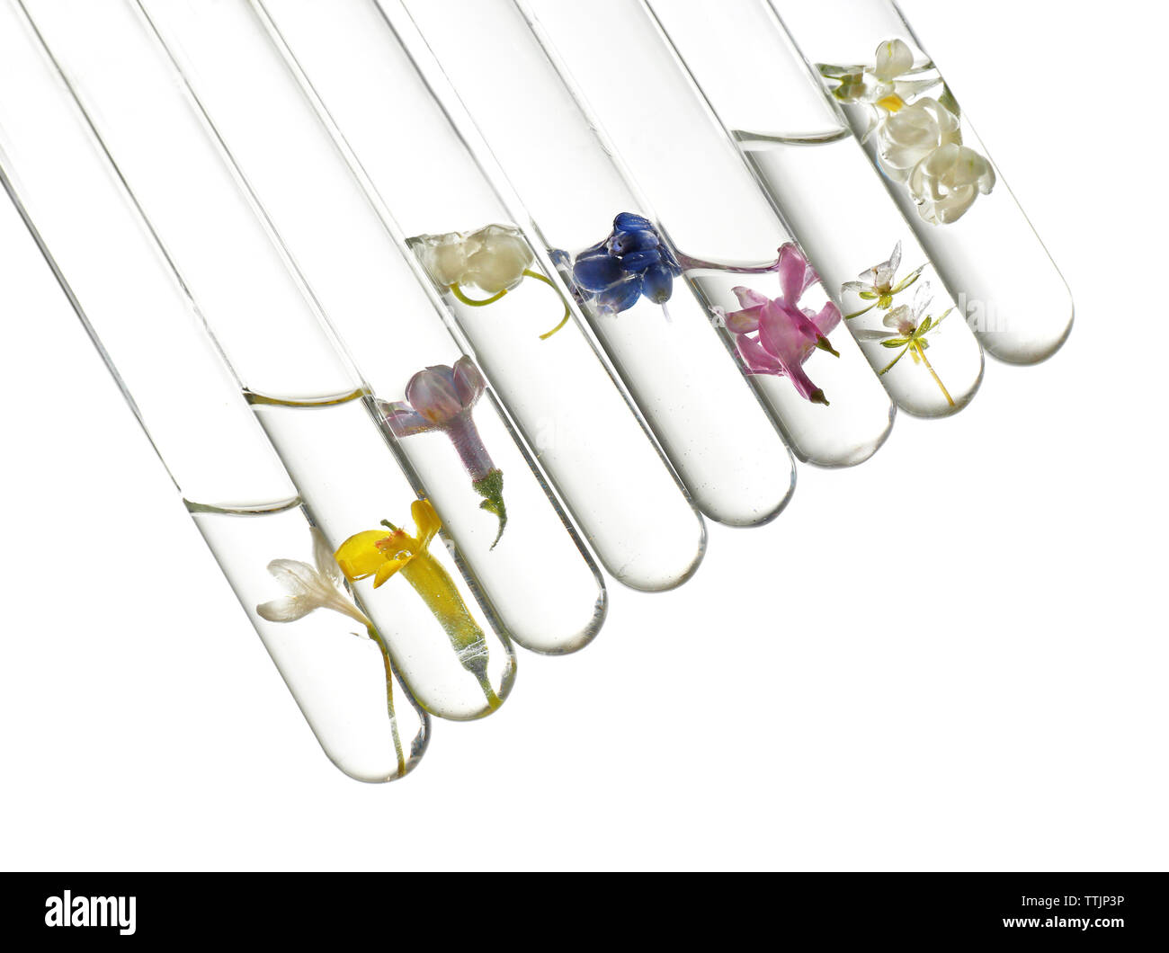 Lavender rosemary in test tubes hi-res stock photography and images - Alamy