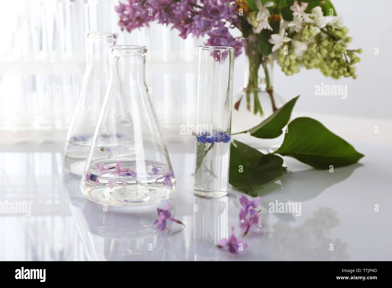 Lavender rosemary in test tubes hi-res stock photography and images - Alamy