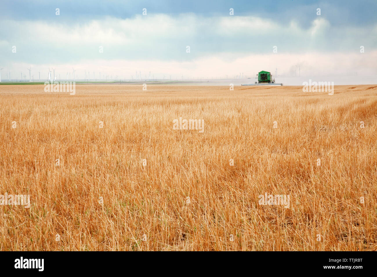 Distant view of tractor on wheat field Stock Photo - Alamy