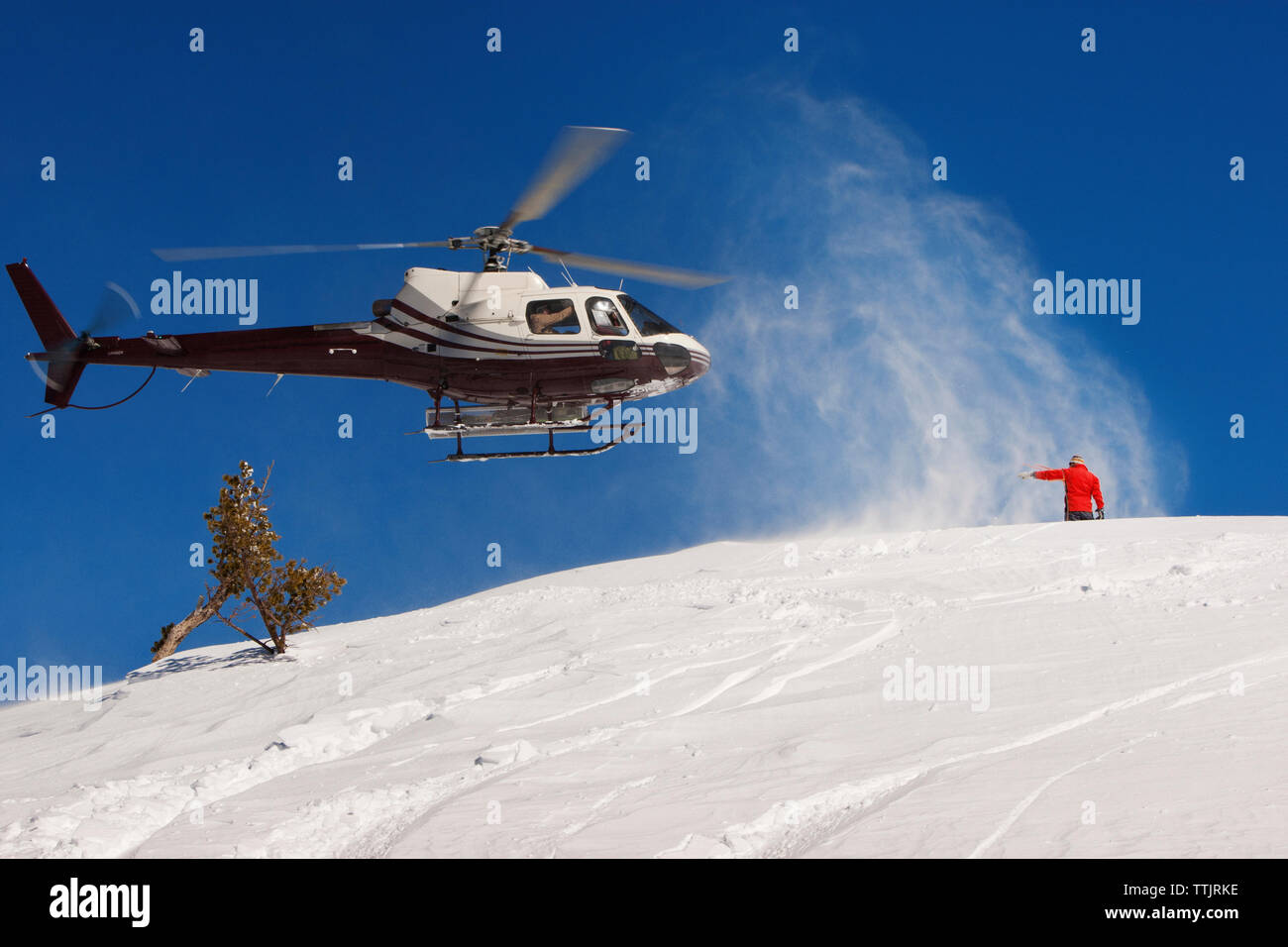 Heli helicopter skiing hi-res stock photography and images - Alamy
