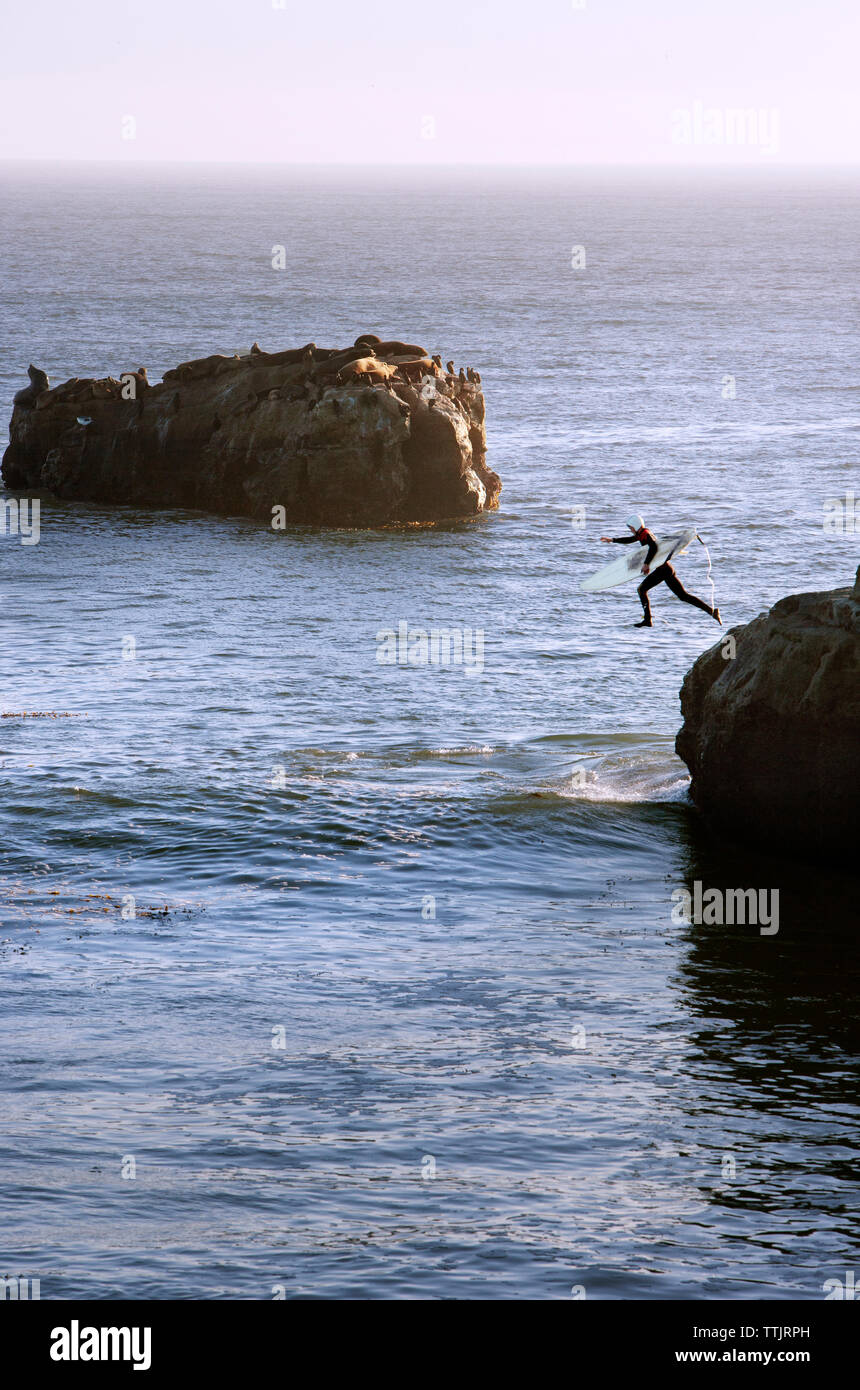 Person with surfboard jumping into sea Stock Photo - Alamy