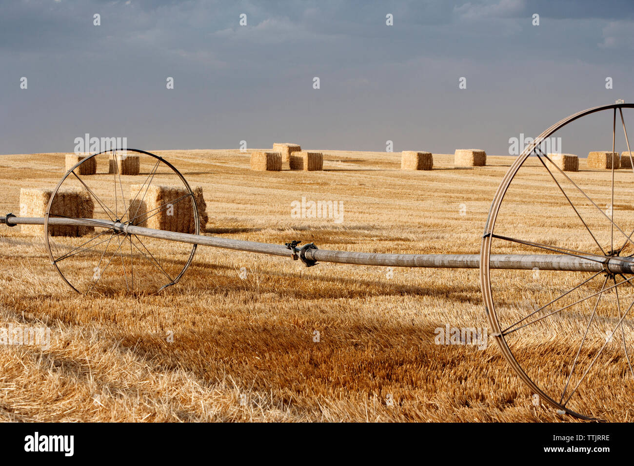 Wheel rack on grassy field by hay Stock Photo - Alamy