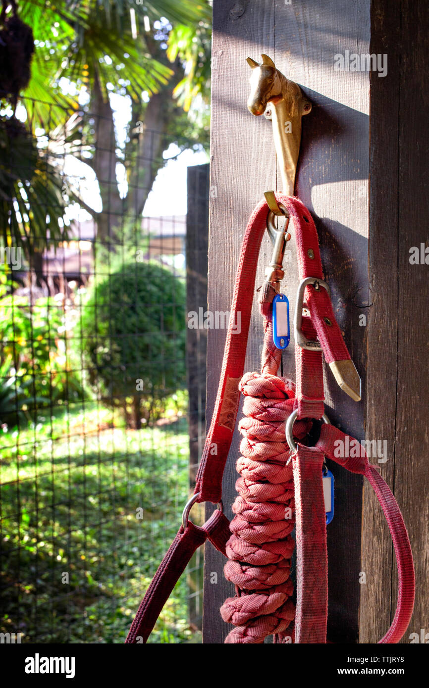 Rope bridle hi-res stock photography and images - Alamy