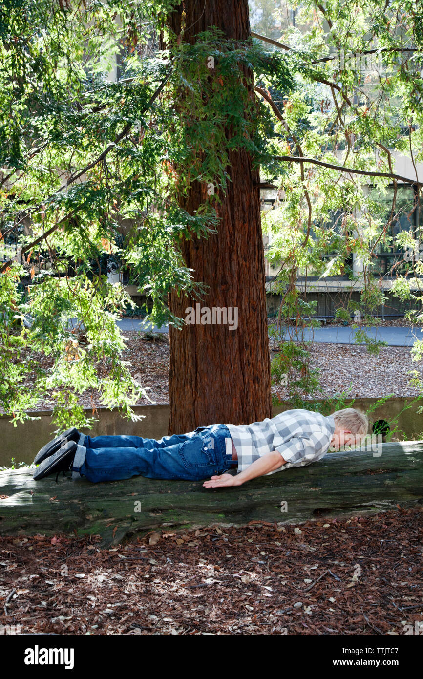 Lakeshore growth hi-res stock photography and images - Alamy