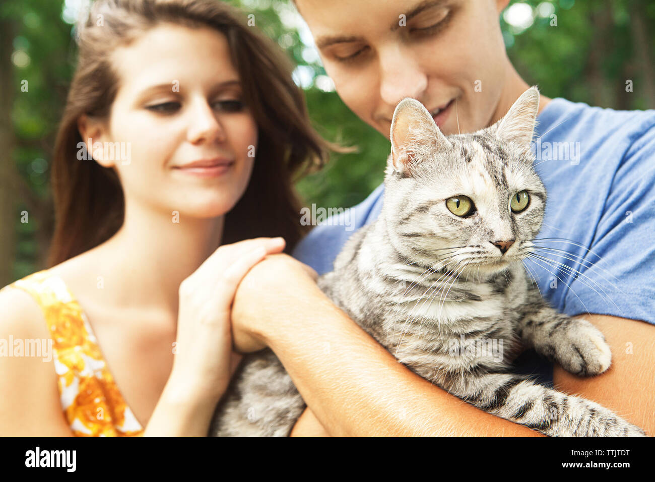 Cute couple cat hi-res stock photography and images - Alamy