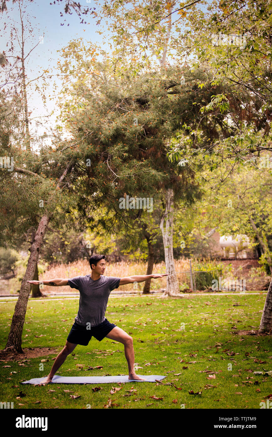 Athlete practicing warrior pose on exercise mat Stock Photo - Alamy