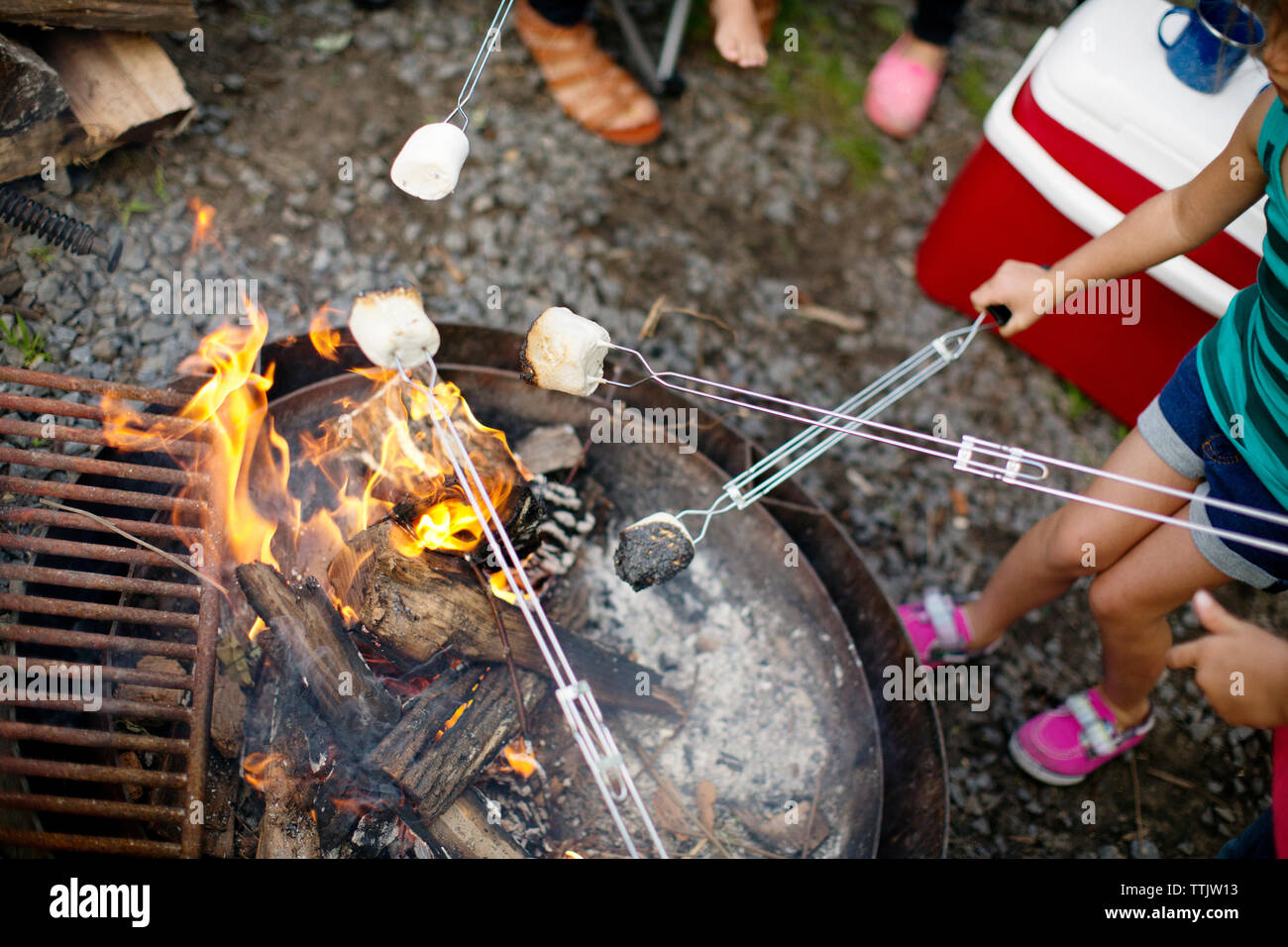 Kids Roasting Marshmallows High Resolution Stock Photography and Images ...