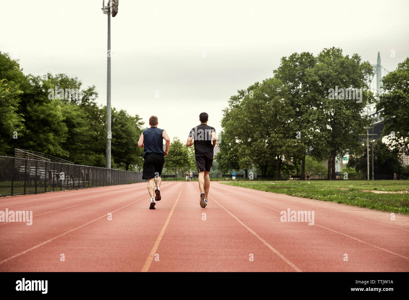 Rear view of athletes running on sports track Stock Photo - Alamy