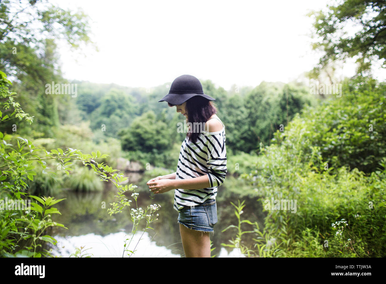Person looking at flowers hi-res stock photography and images - Alamy