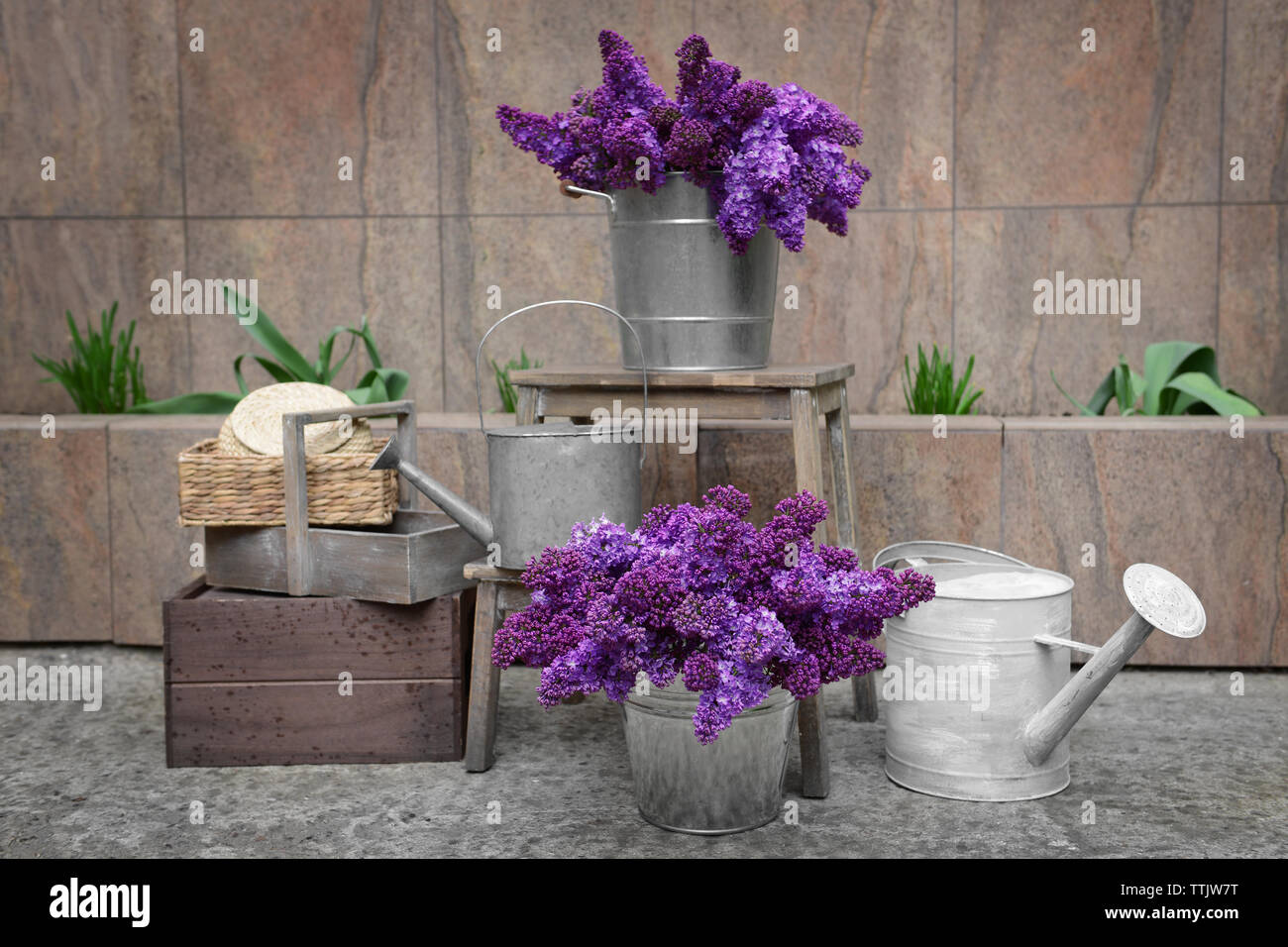 Purple lilac in metal bucket Stock Photo - Alamy