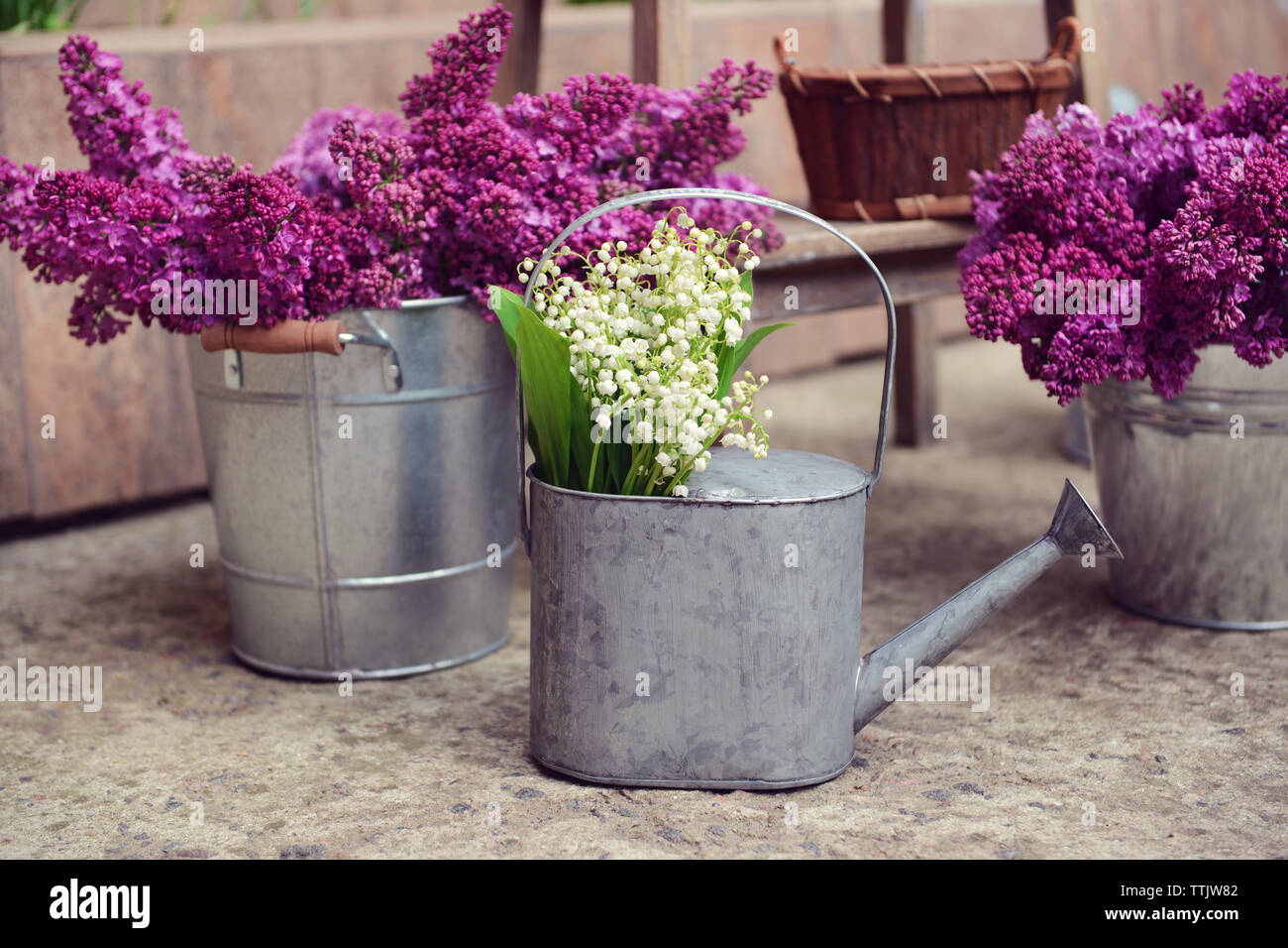 Purple lilac and may-lilies in metal bucket and watering can outdoors ...