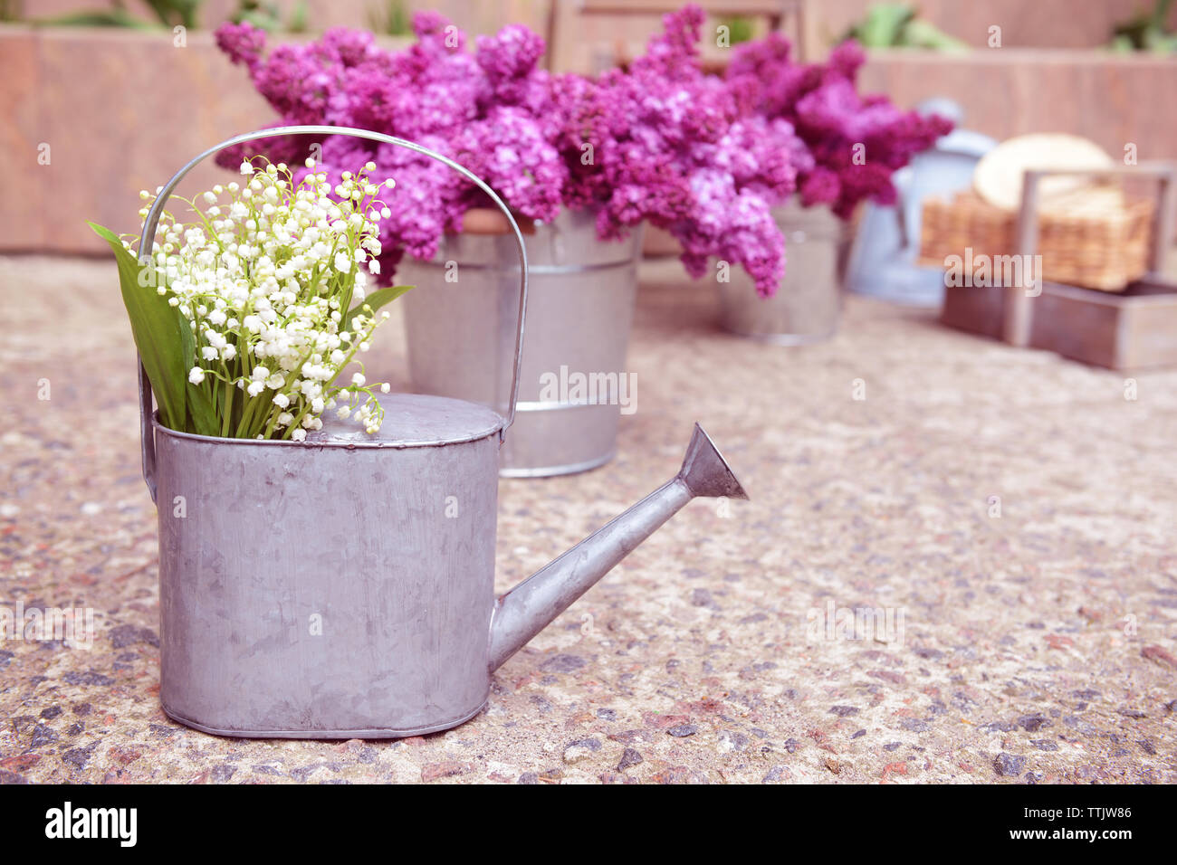 May lilies hi-res stock photography and images - Alamy