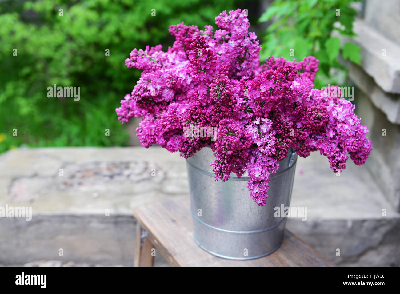 Purple lilac in metal bucket on porch Stock Photo - Alamy