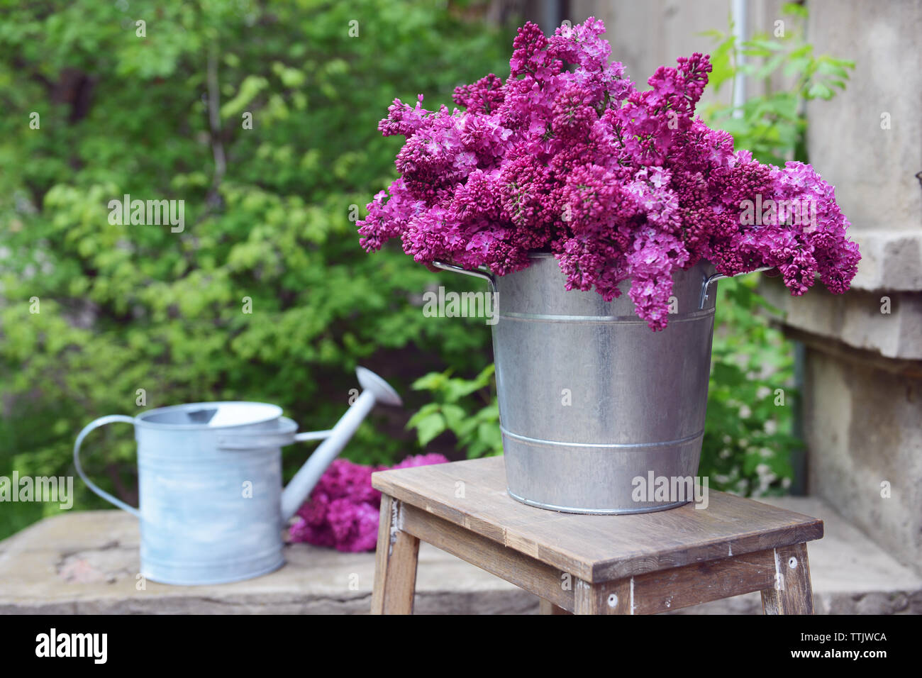 Purple lilac in metal bucket on porch Stock Photo - Alamy