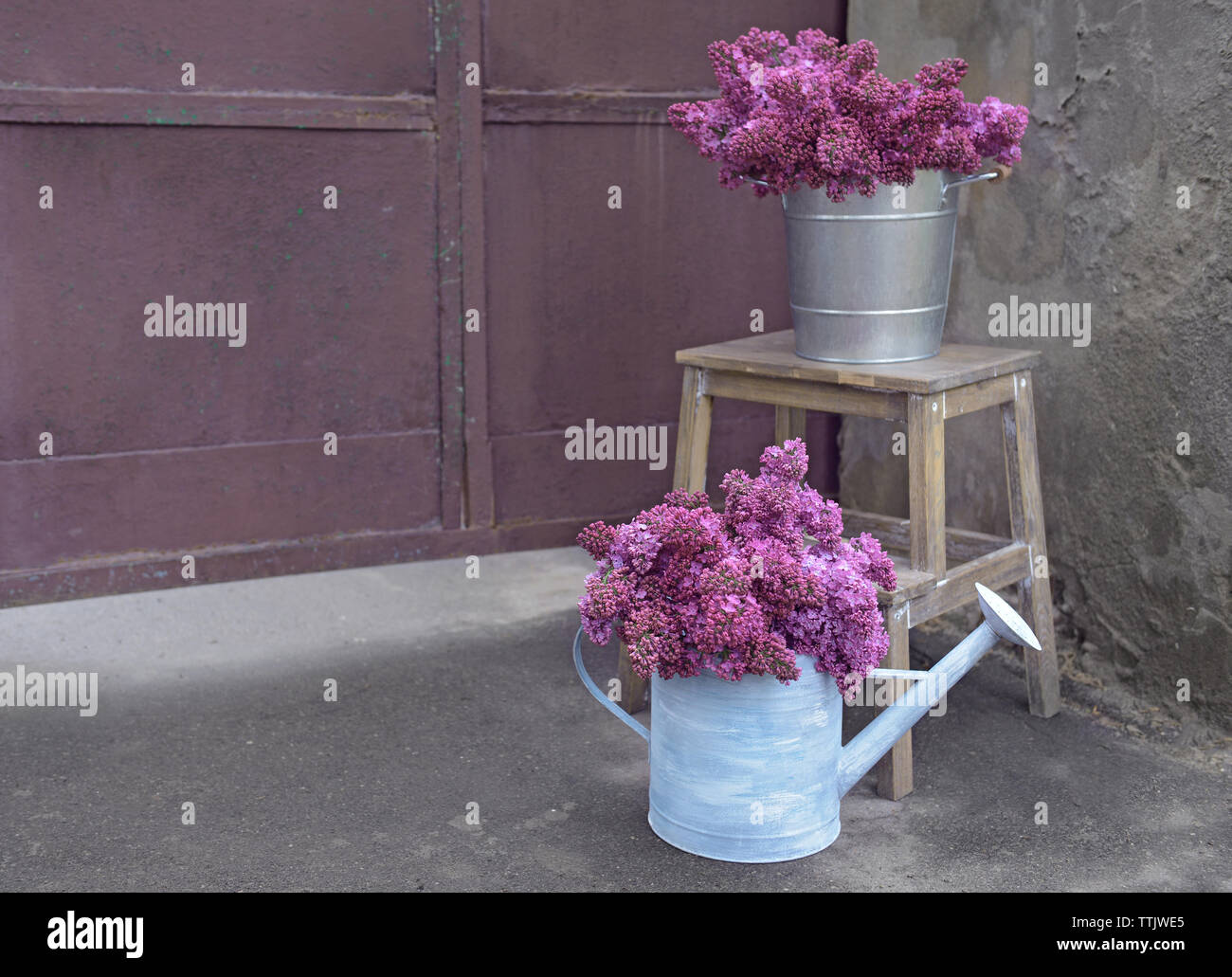 Purple lilac in metal bucket and watering can on porch Stock Photo - Alamy