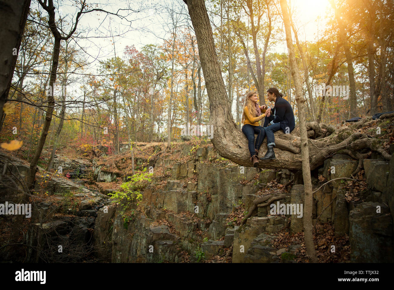 Couple sitting in tree hi-res stock photography and images - Alamy