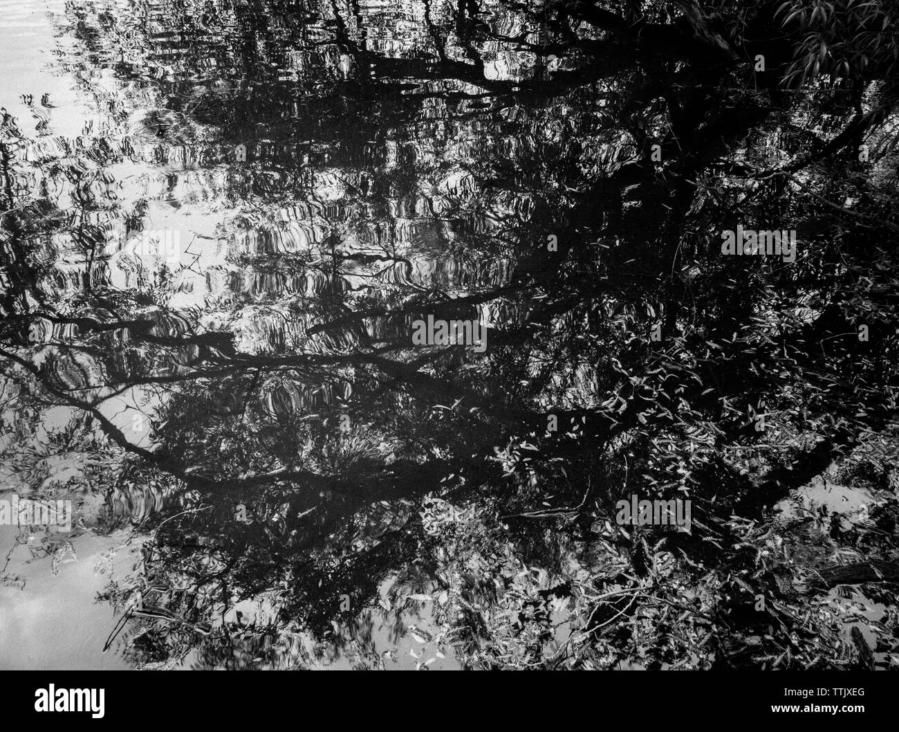 Peacful river Black and White Stock Photos & Images - Alamy