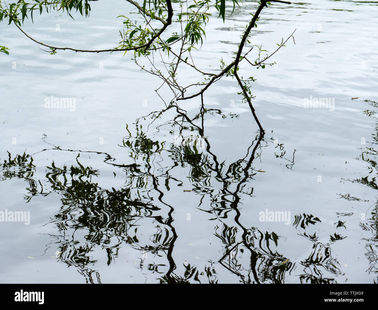 Garcia nature reserve hi-res stock photography and images - Alamy