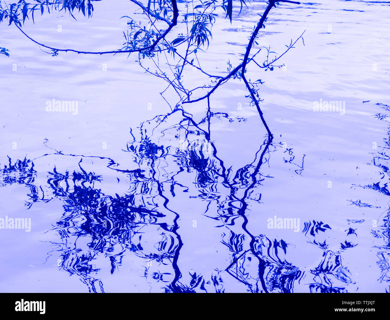Peacful river thames hi-res stock photography and images - Alamy