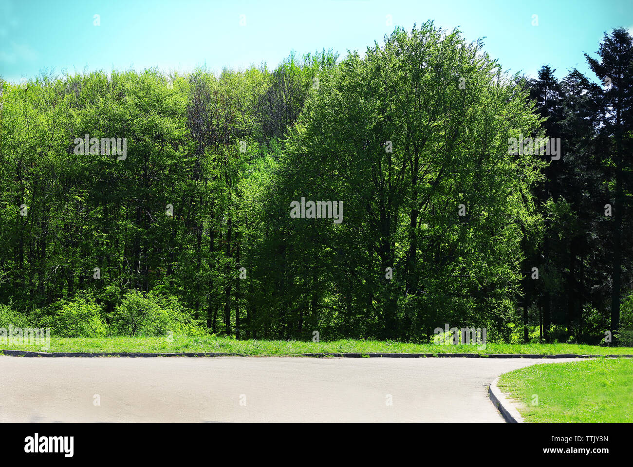 Green bushes and trees in botanical garden Stock Photo - Alamy