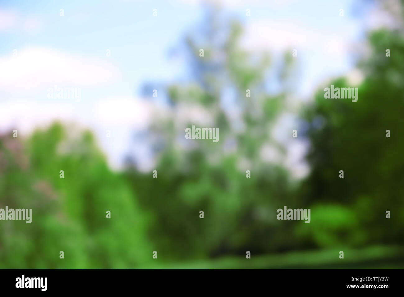 Trees in unfocused background hi-res stock photography and images - Alamy