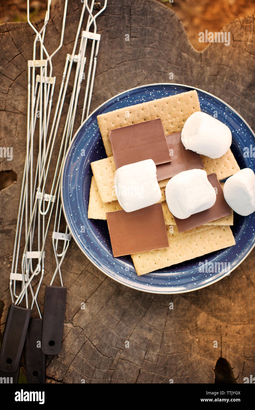 Smores preparation hi-res stock photography and images - Alamy