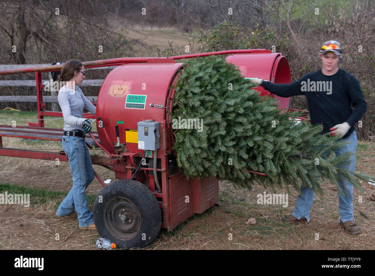 UNITED STATES - December 12, 2015: Snickers Gap Christmas Tree Farm is ...