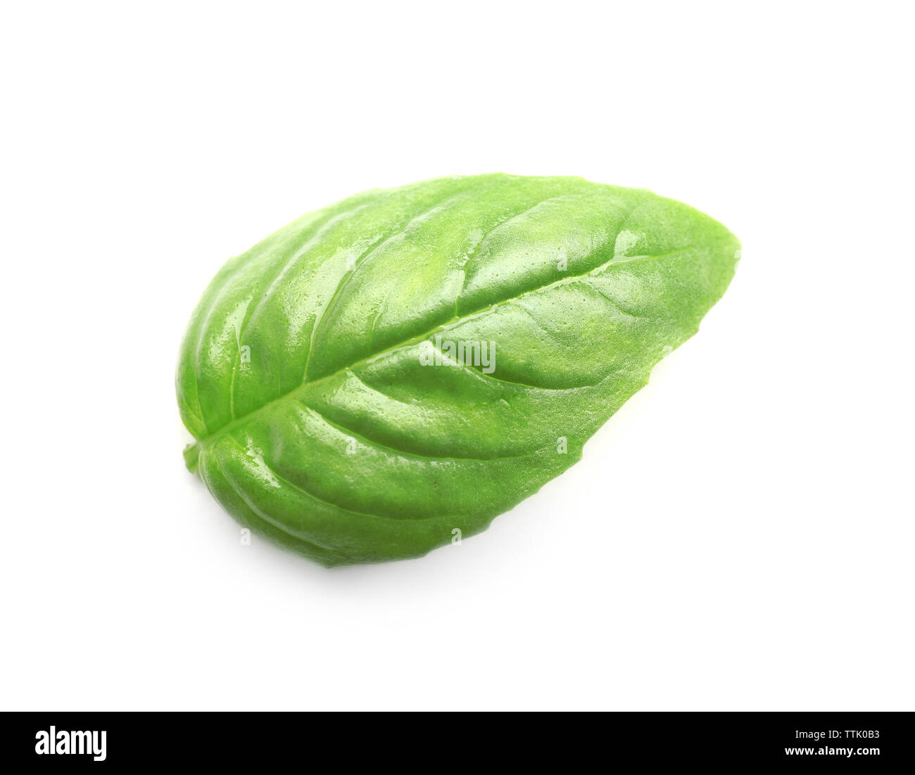 Basil leaf, isolated on white Stock Photo - Alamy