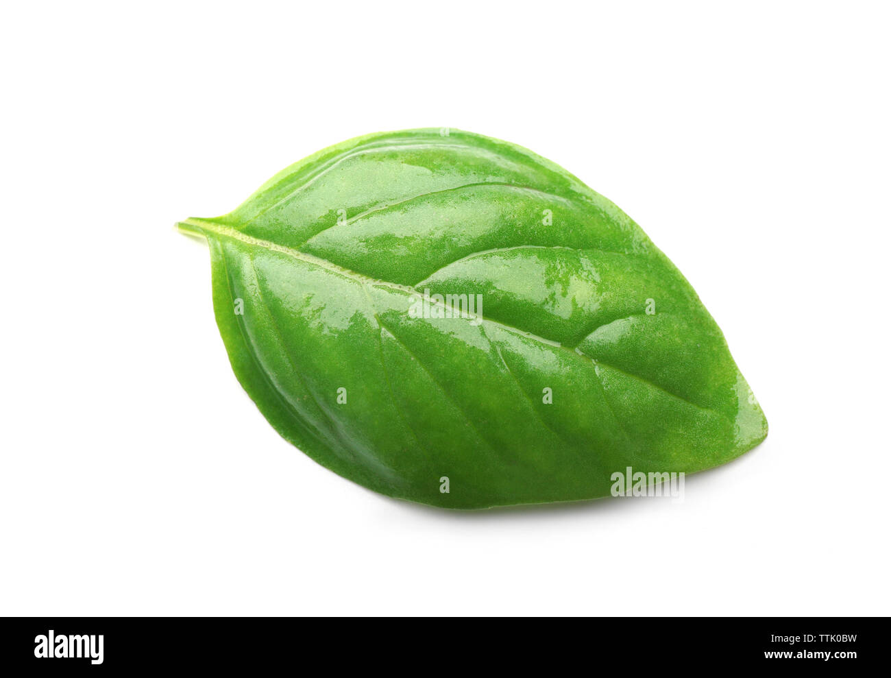 Basil leaf, isolated on white Stock Photo - Alamy