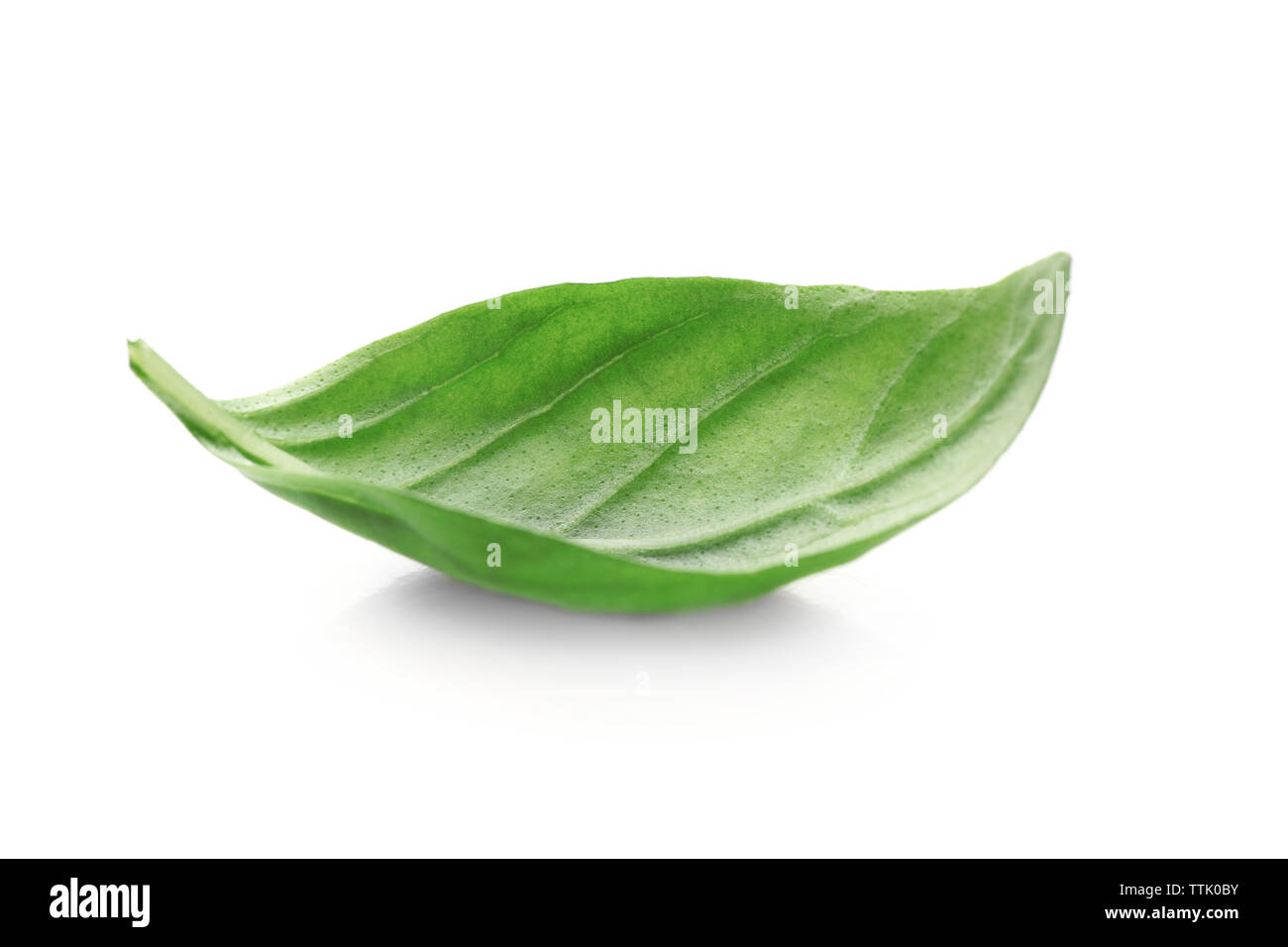Basil leaf, isolated on white Stock Photo - Alamy
