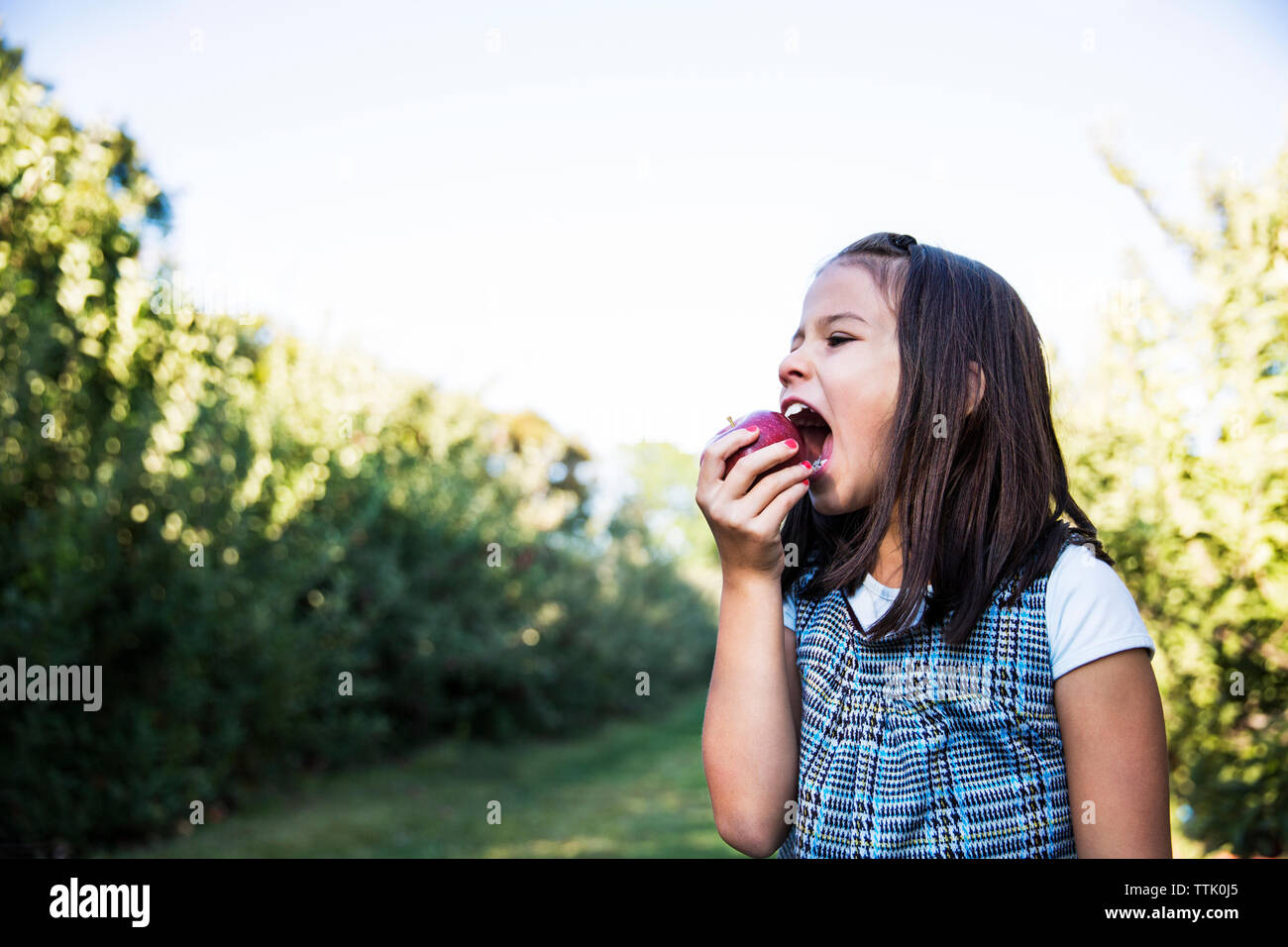 View farm apple orchard hi-res stock photography and images - Alamy