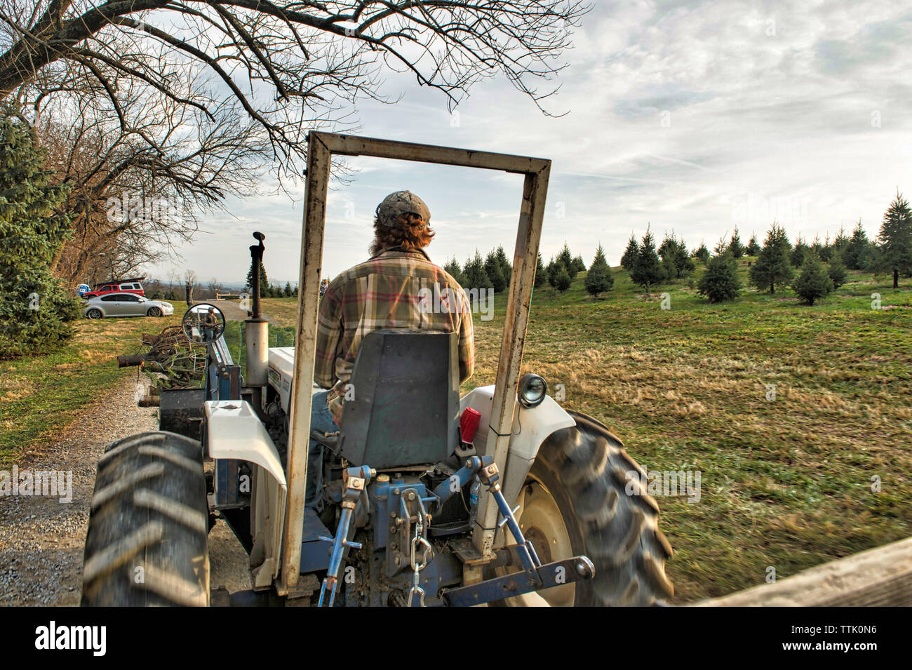 Snickers gap christmas tree farm hi-res stock photography and images ...