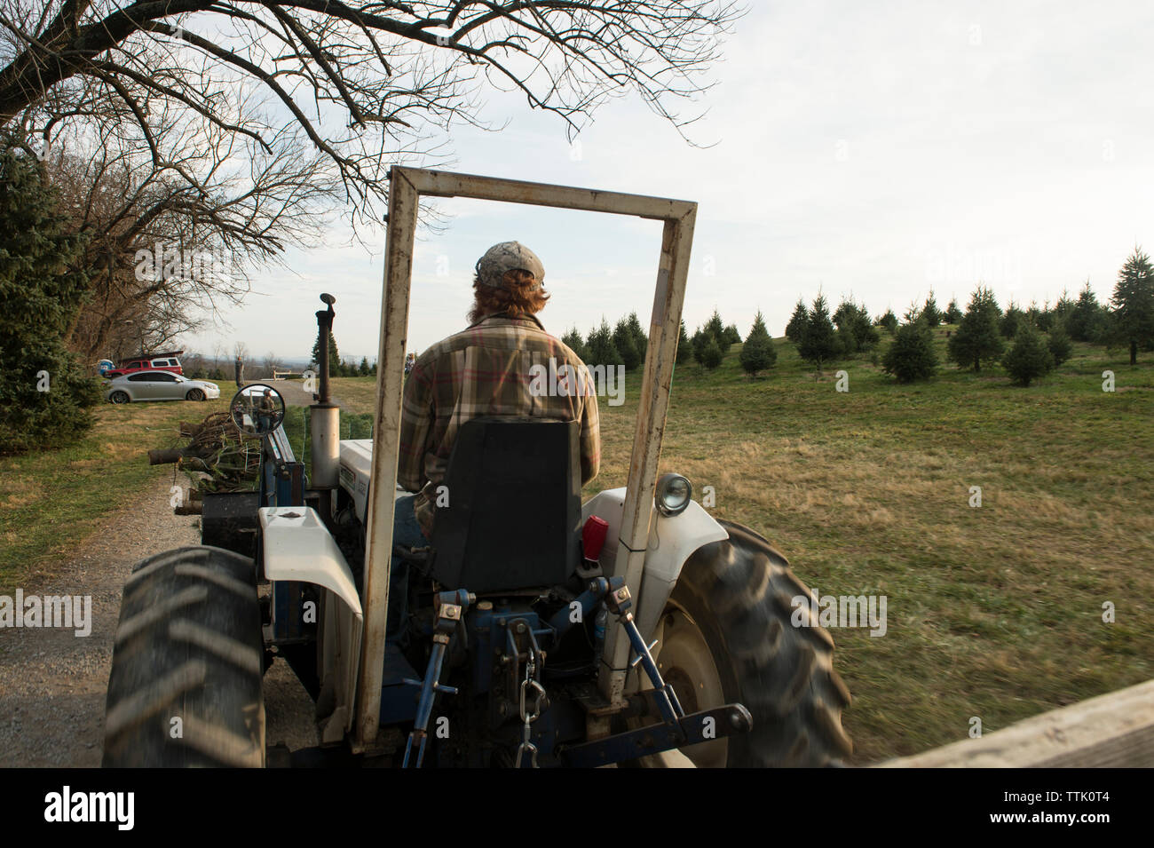 Snickers gap christmas tree farm hi-res stock photography and images ...