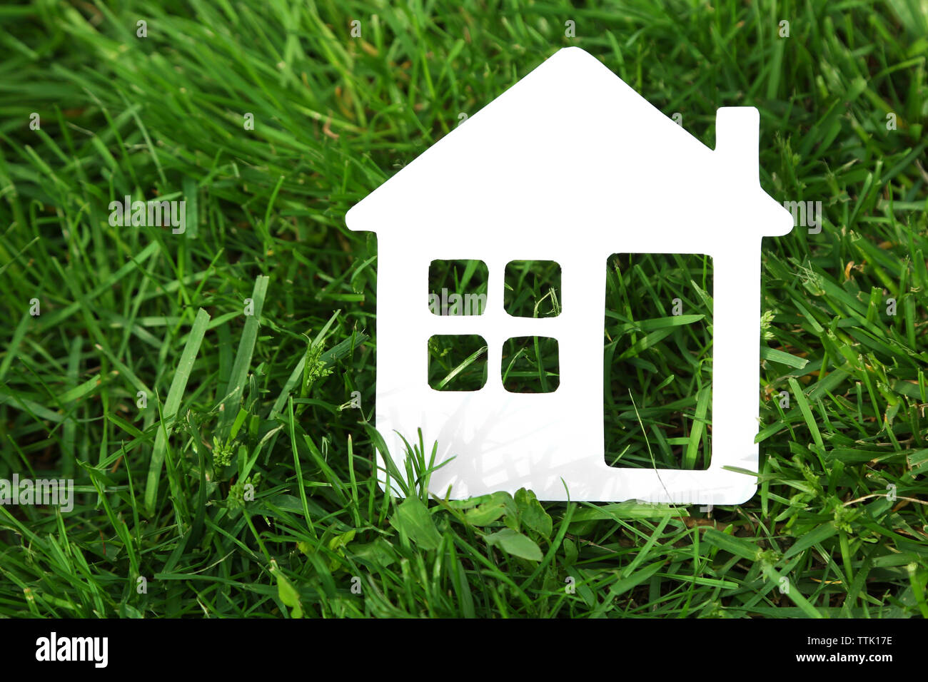 Wooden shape of house on green grass background Stock Photo - Alamy