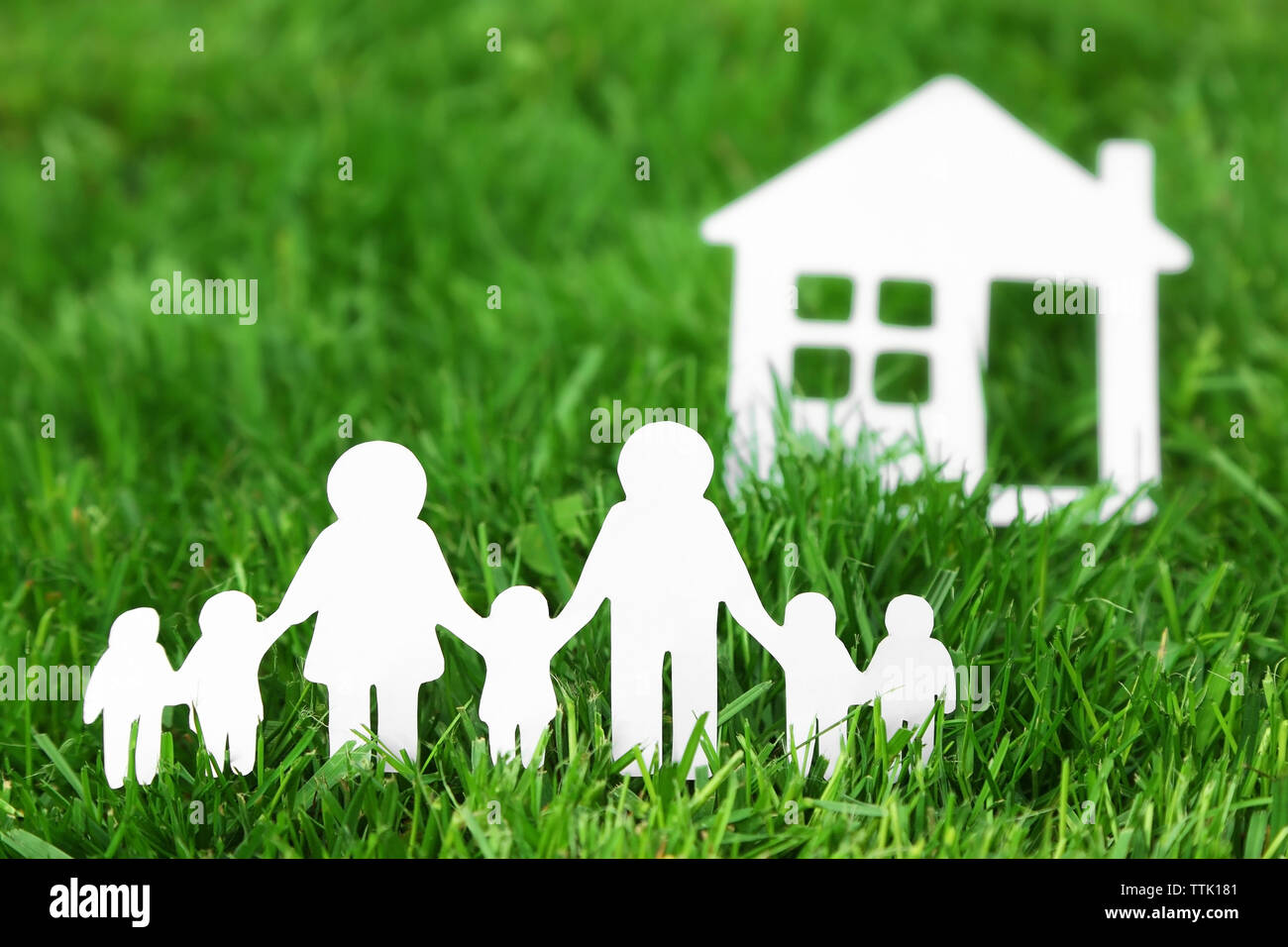 Wooden family shape on green grass background Stock Photo - Alamy