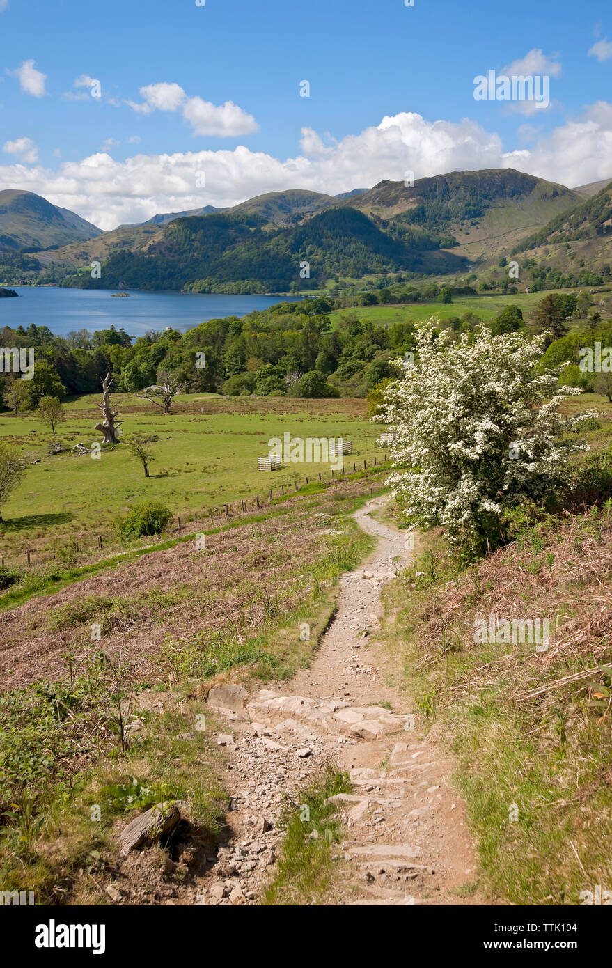 Footpath from Gowbarrow down to Ullswater on the Ullswater Way walking ...