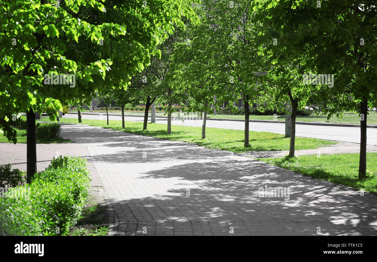 Footpath with green trees on both sides Stock Photo - Alamy
