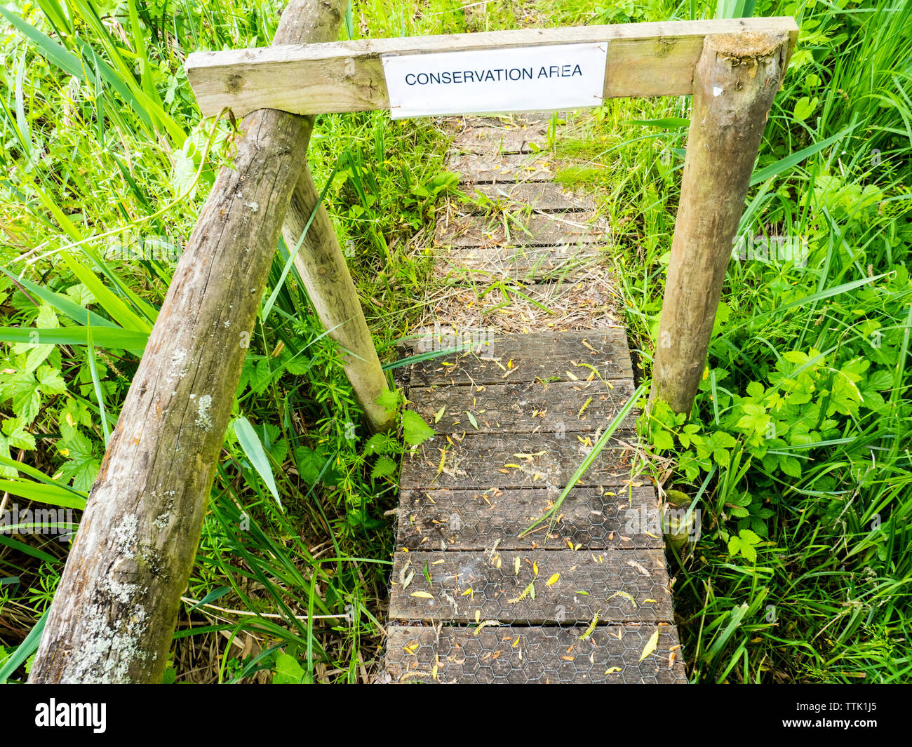Conservation Area Sign, Path Threw Wetlands on Witheymead Nature ...